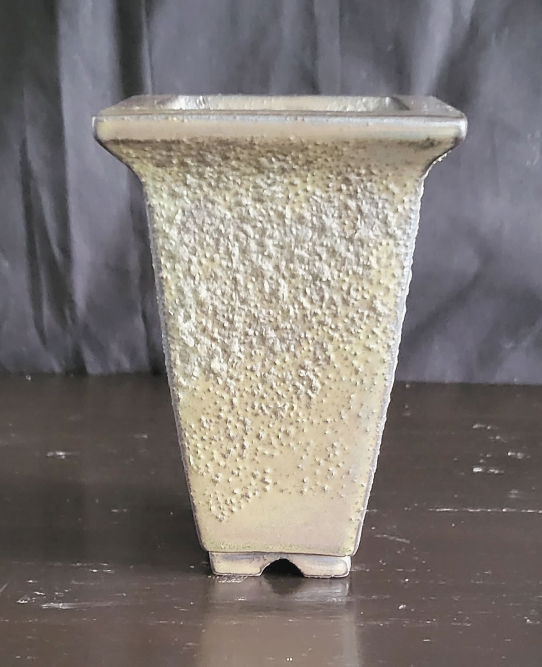 Bonsai Garden Design | Best bonsai design in Bermuda