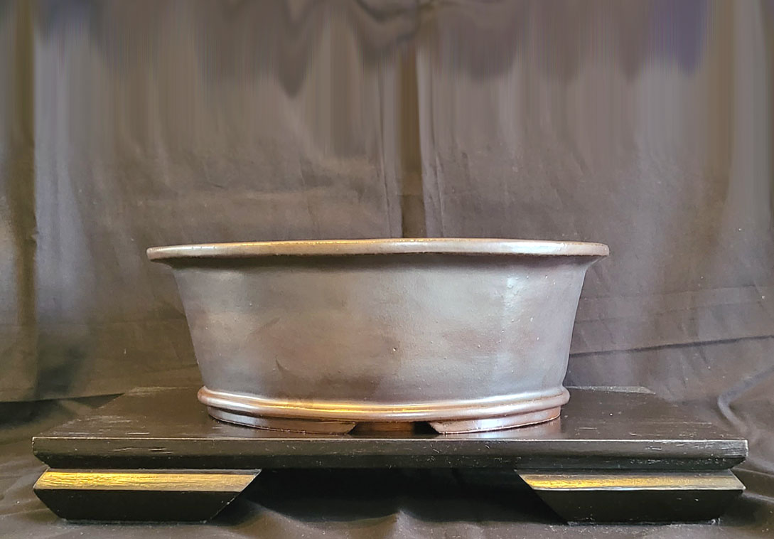 Bonsai Garden Design | Best bonsai design in Bermuda