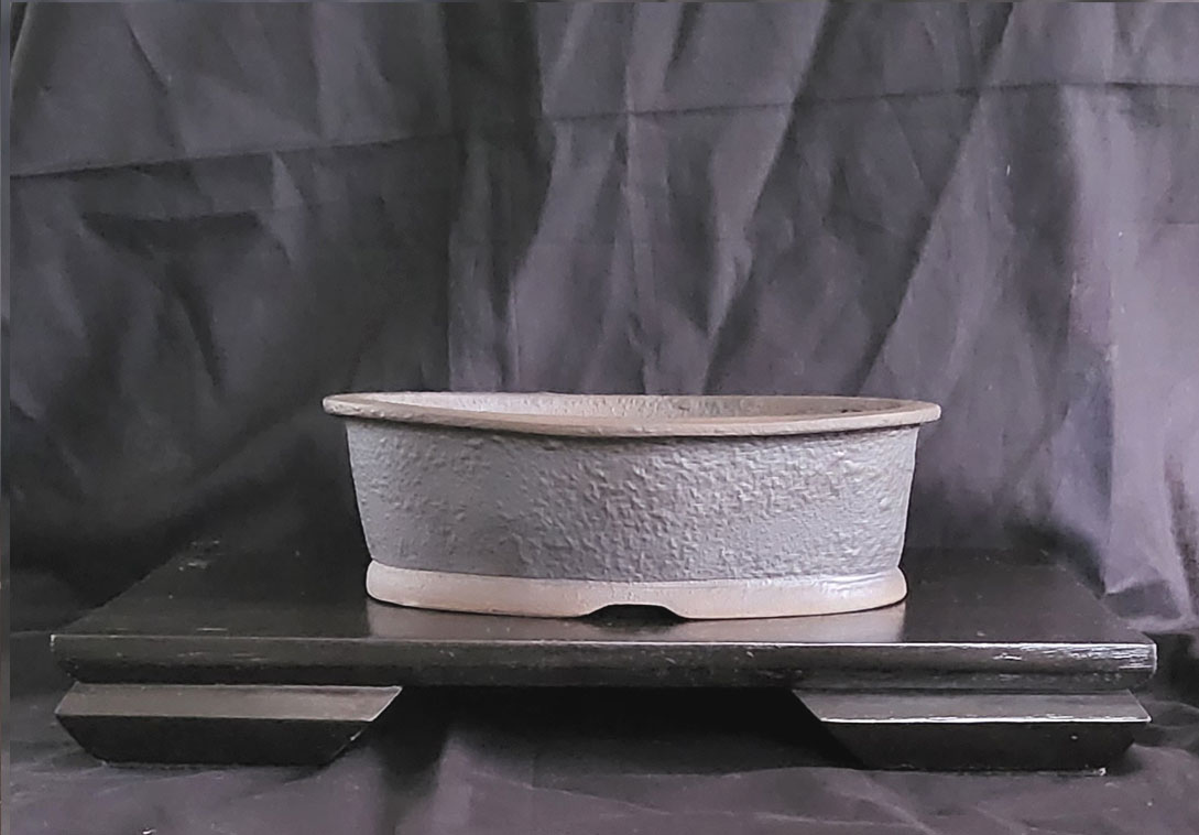 Bonsai Garden Design | Best bonsai design in Bermuda