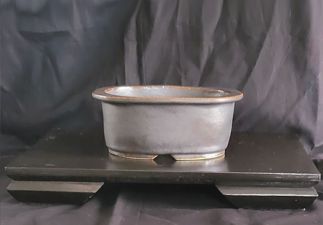 Bonsai Garden Design | Best bonsai design in Bermuda