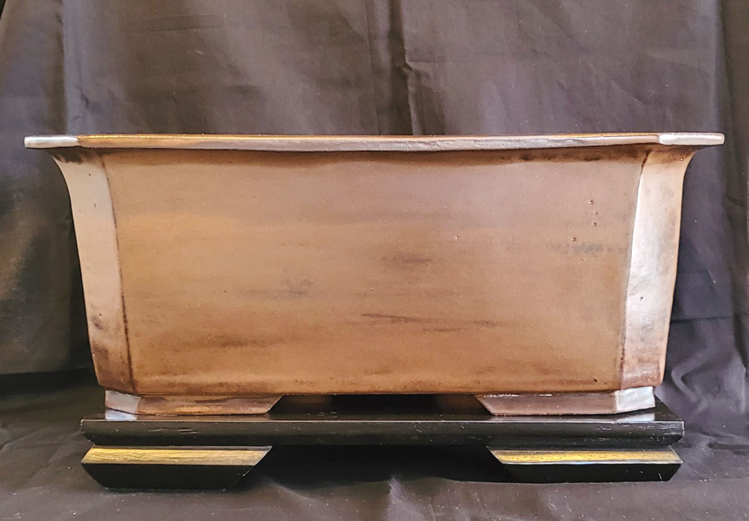 Bonsai Garden Design | Best bonsai design in Bermuda